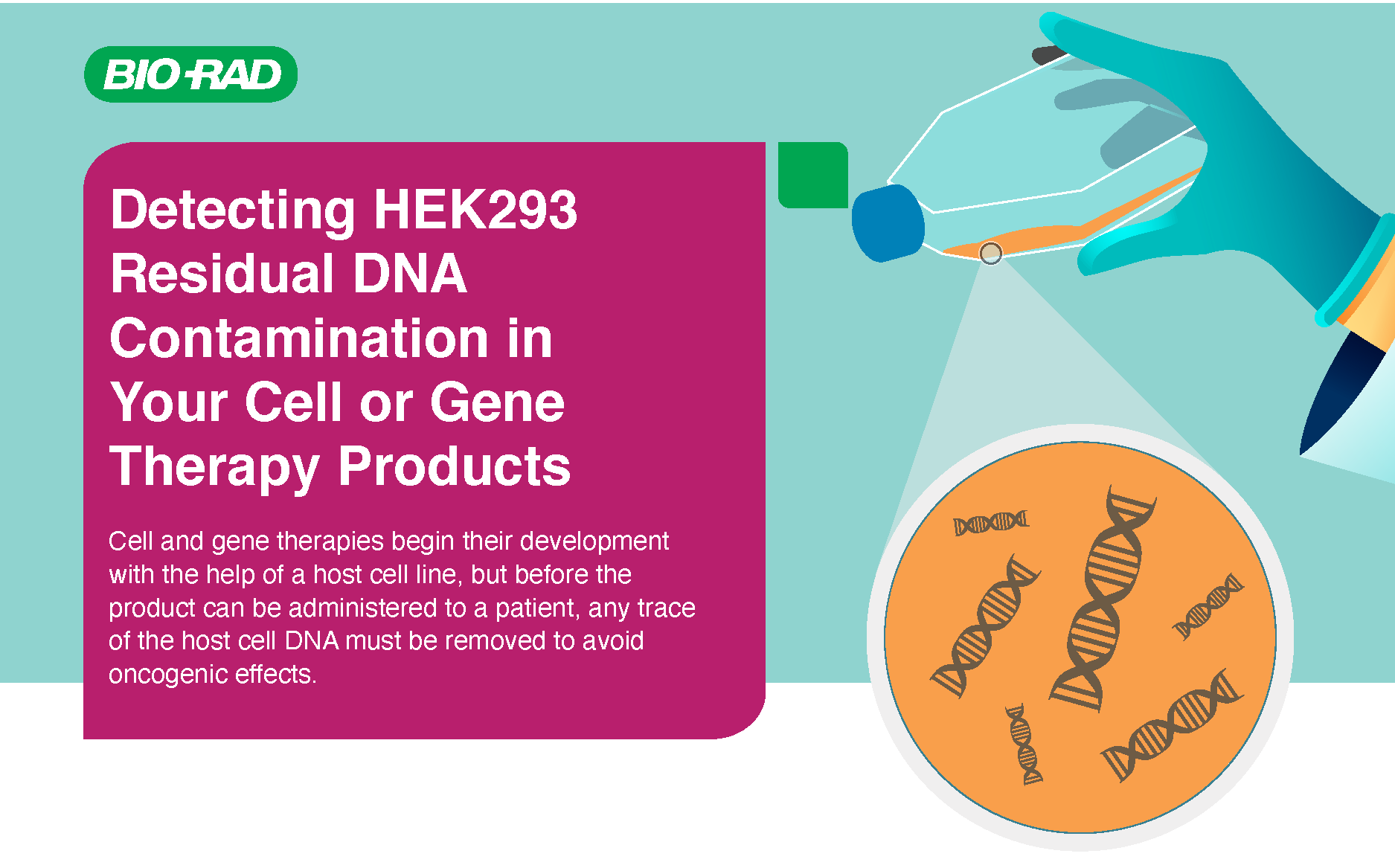 Detecting HEK293 residual DNA contamination in your cell or gene ...