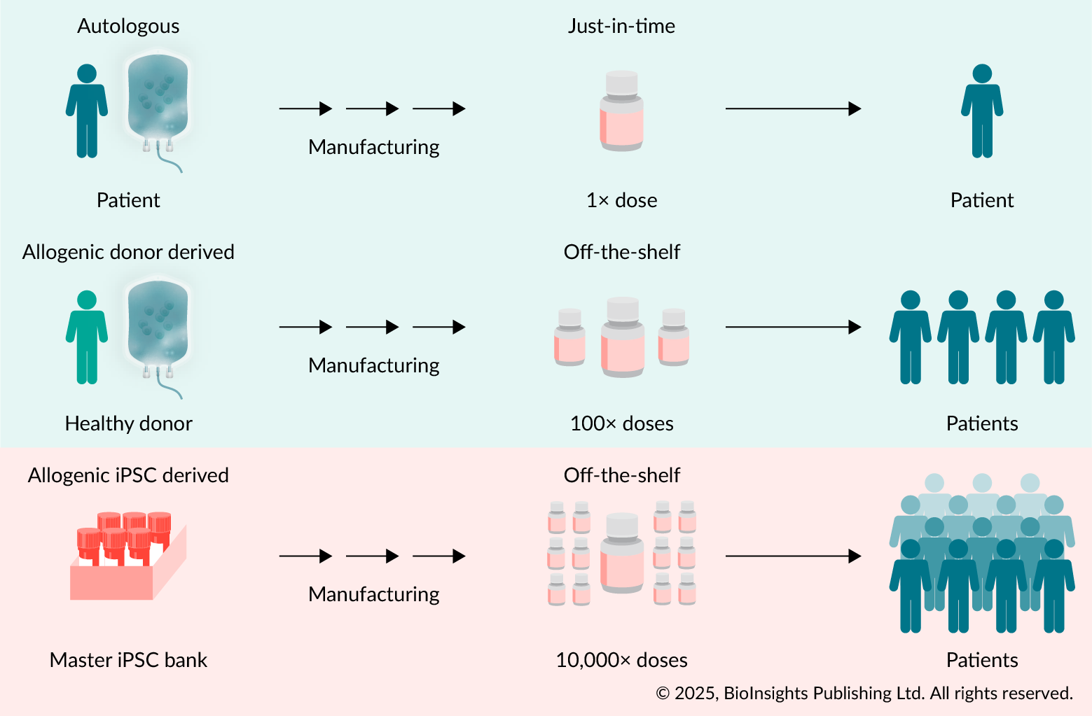 Genetic integrity testing of genome-edited pluripotent stem cell lines ...