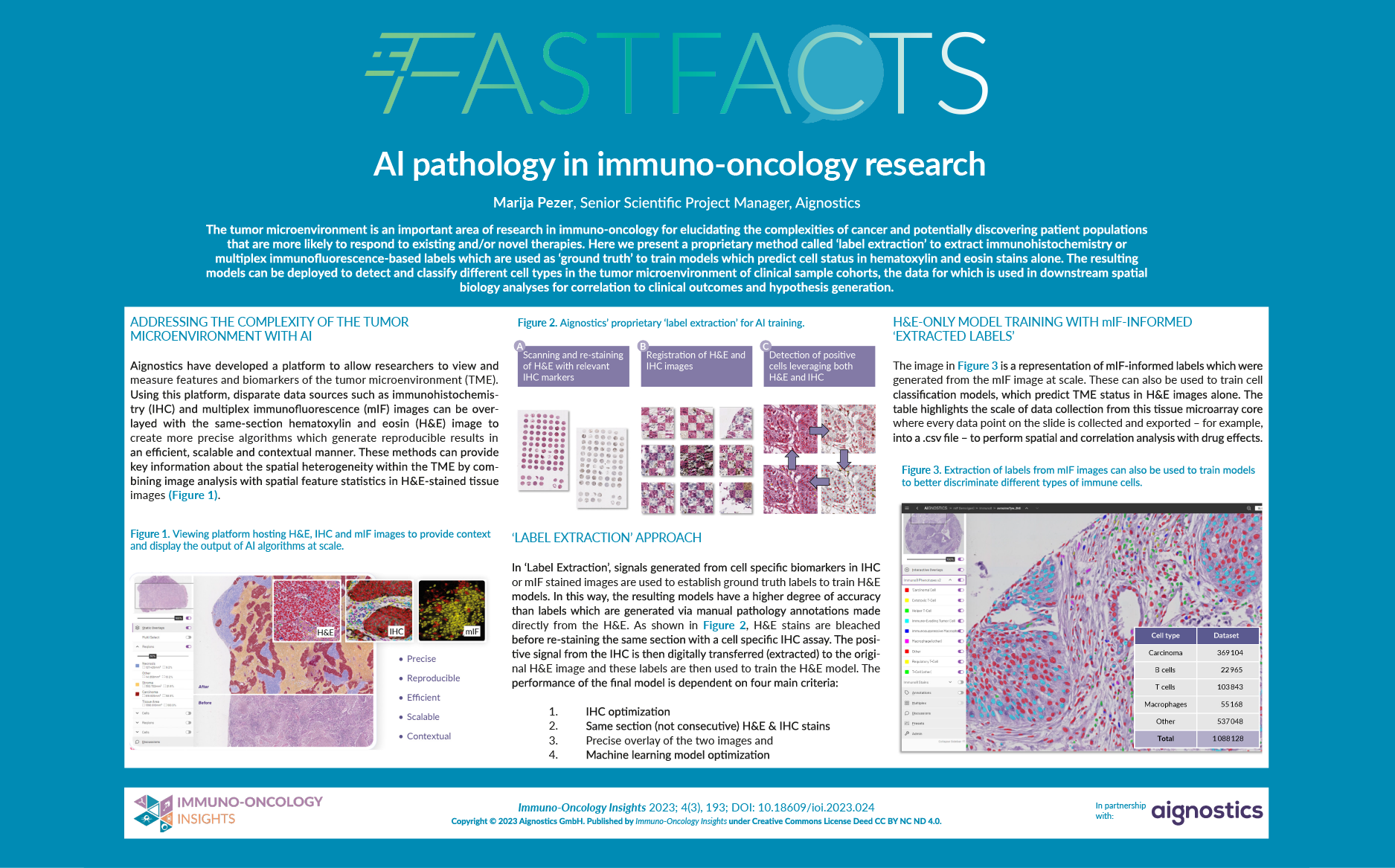 Al pathology in immuno-oncology research